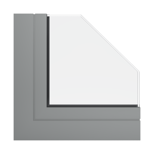 Feneste | Windows | Colors | Aluminum RAL | RAL 9007 Grey aluminium